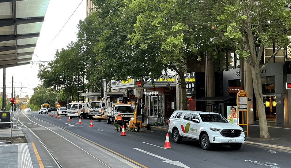 Urbans Arb team - the tree pruning experts! - Urbans