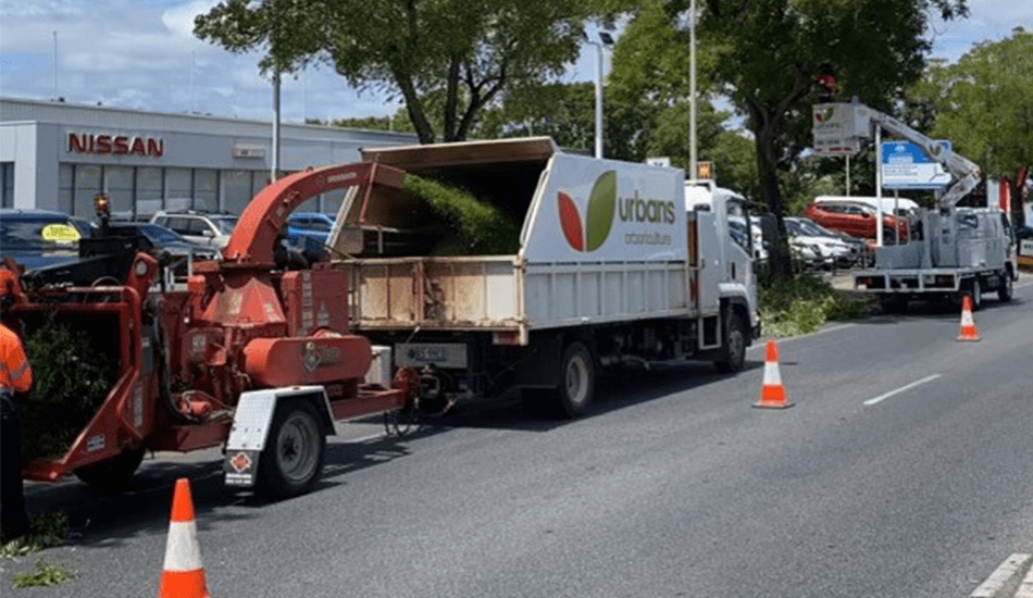 Urbans Arb team - the tree pruning experts! - Urbans