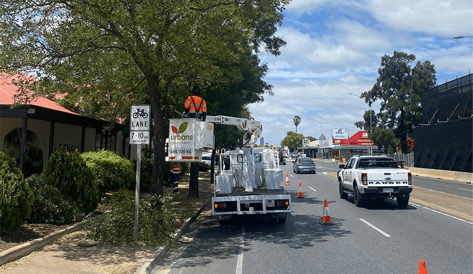 Urbans Arb team - the tree pruning experts! - Urbans