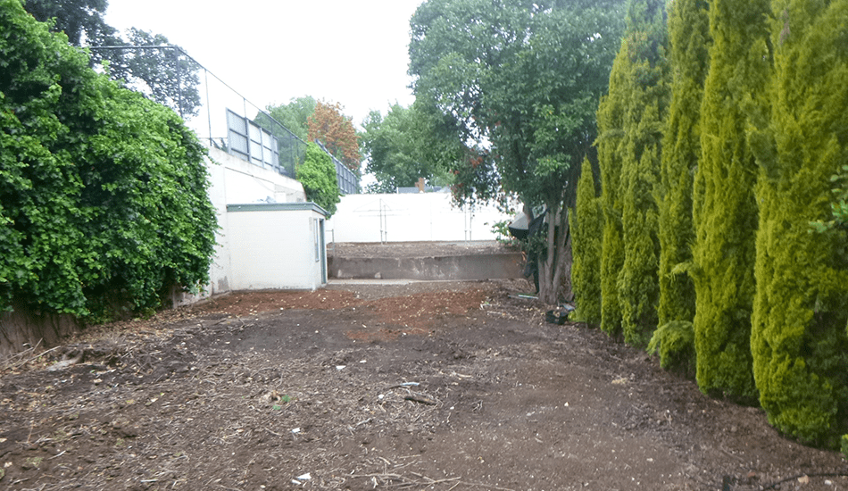 Community Housing site gets a face lift - Urbans