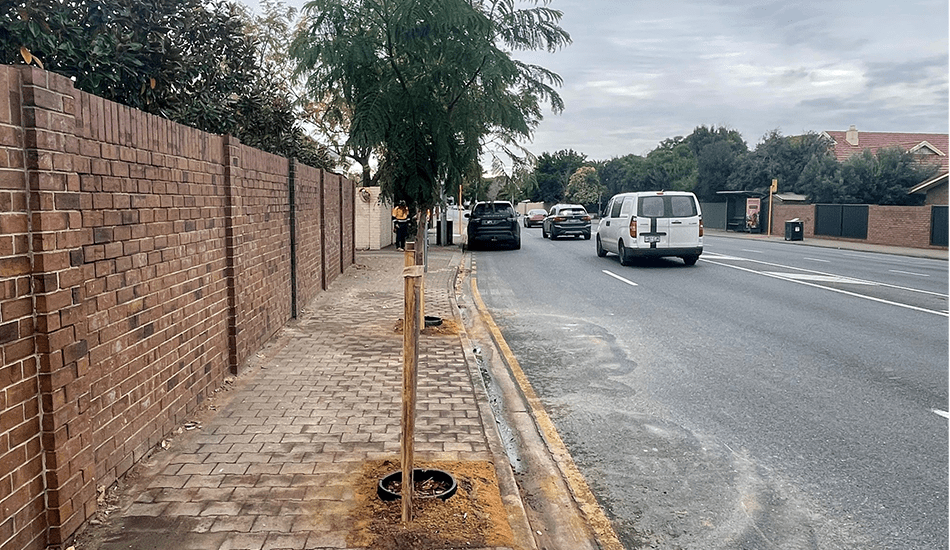The Green Tunnel Project is creating beautiful leafy canopies - Urbans