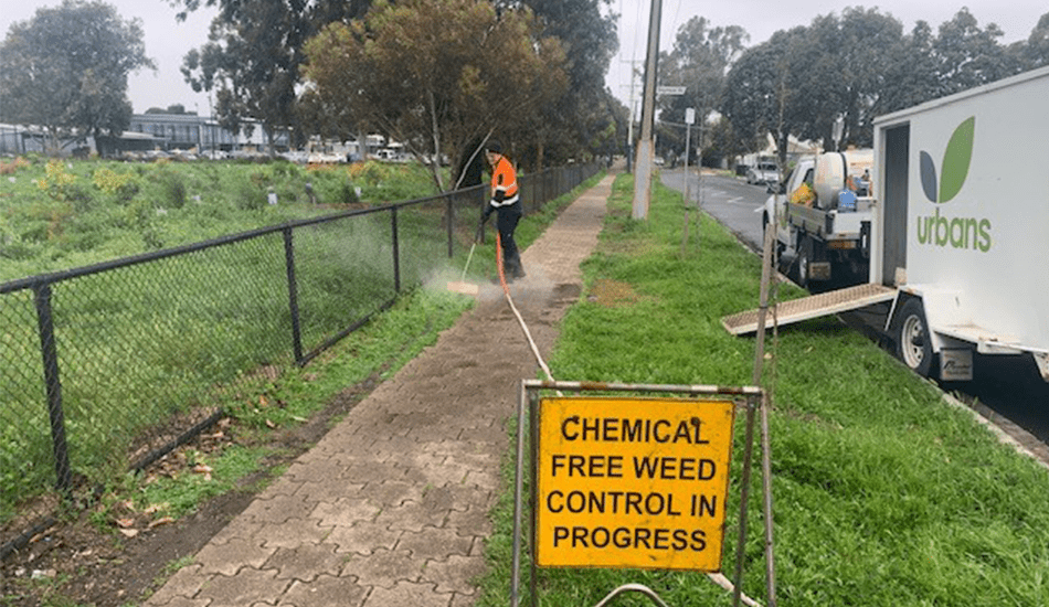 Eco-Friendly, Organic Weed Control - Urbans